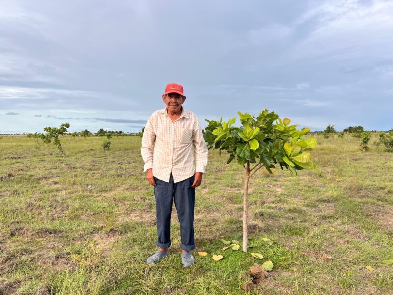 Conucos sostenibles - Fundación Alpina
